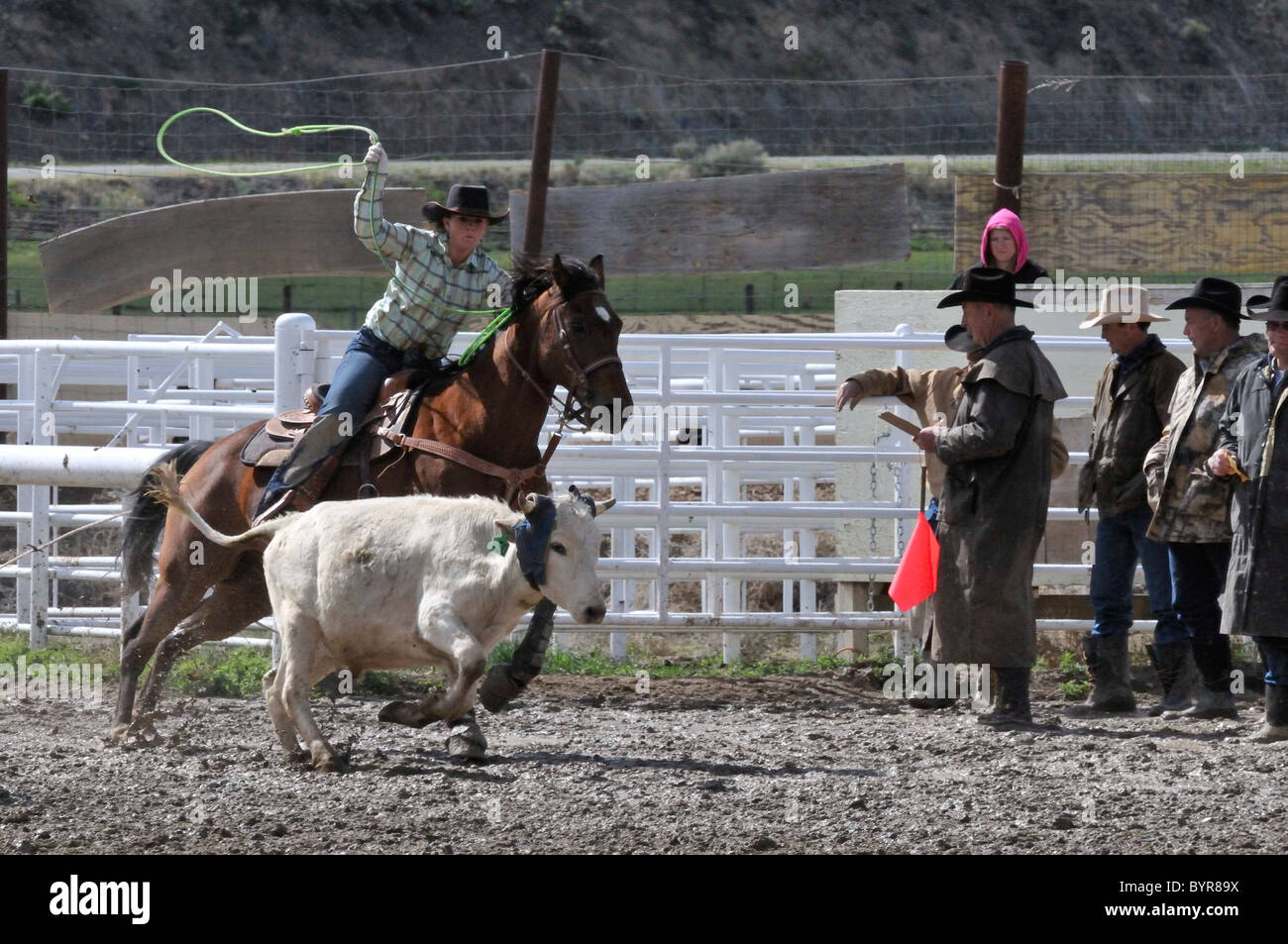 Calf Roping, Tie-Down Roping, Rodeo, Salmon, Idaho Stock Photo - Alamy