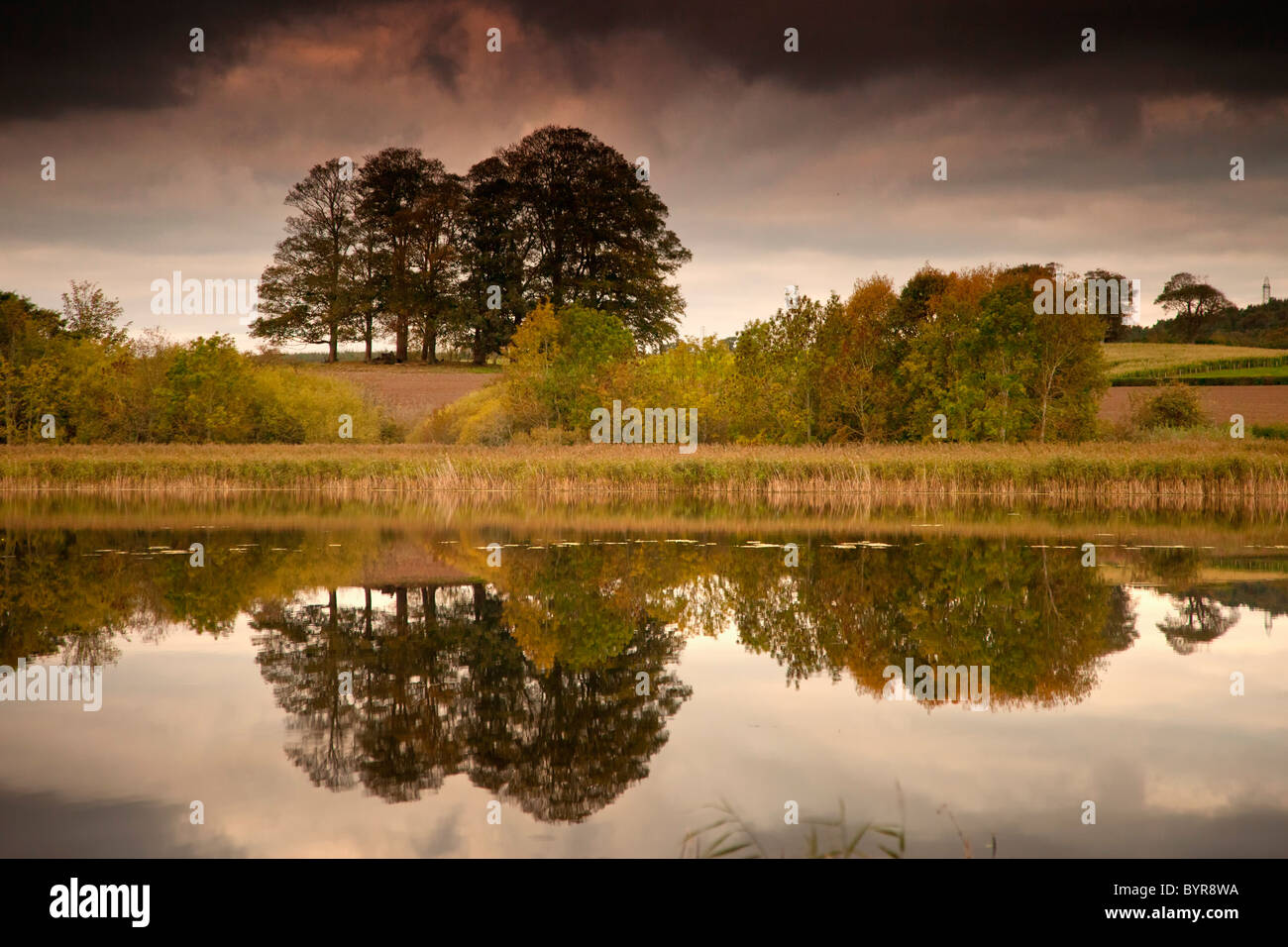 trees reflected in the water; coldstream, scottish borders, scotland ...
