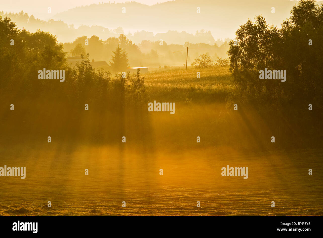 Sun ligh hi-res stock photography and images - Alamy