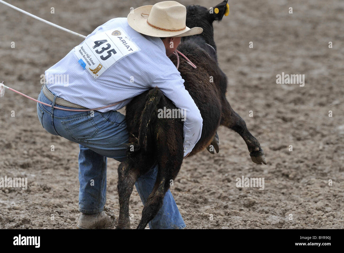 Calf Roping, Tie-Down Roping, Rodeo, Salmon, Idaho Stock Photo - Alamy