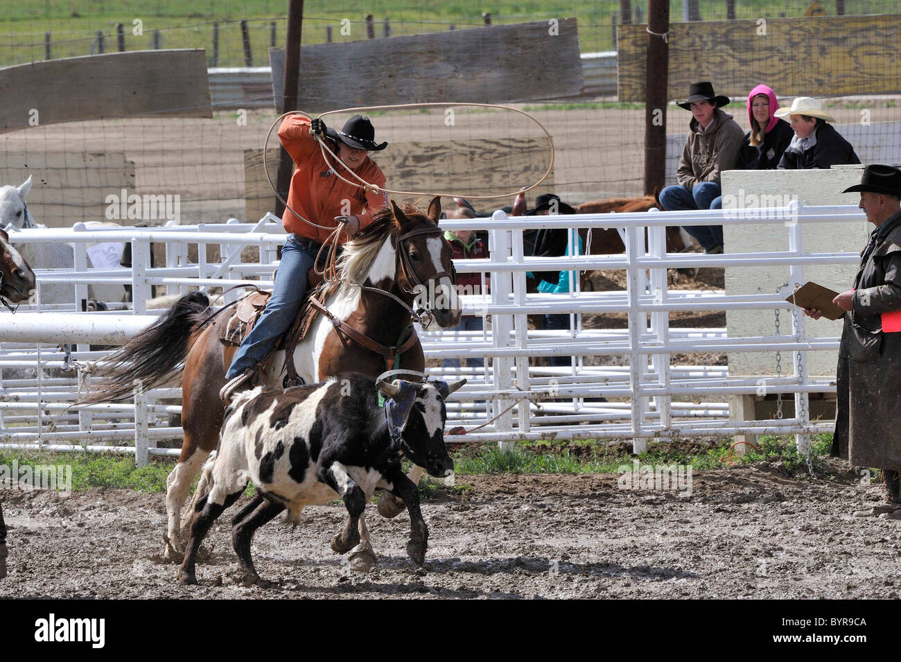 Tie-Down Roping, Calf Roping, Rodeo, Salmon, Idaho Stock Photo - Alamy