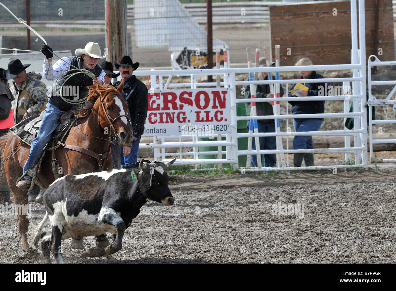 Tie-Down Roping, Calf Roping, Rodeo, Salmon, Idaho Stock Photo - Alamy
