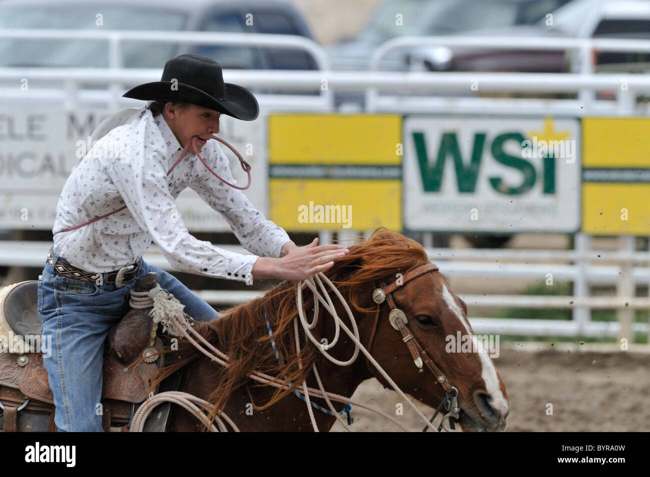 Tie-Down Roping, Calf Roping, Rodeo, Salmon, Idaho Stock Photo - Alamy