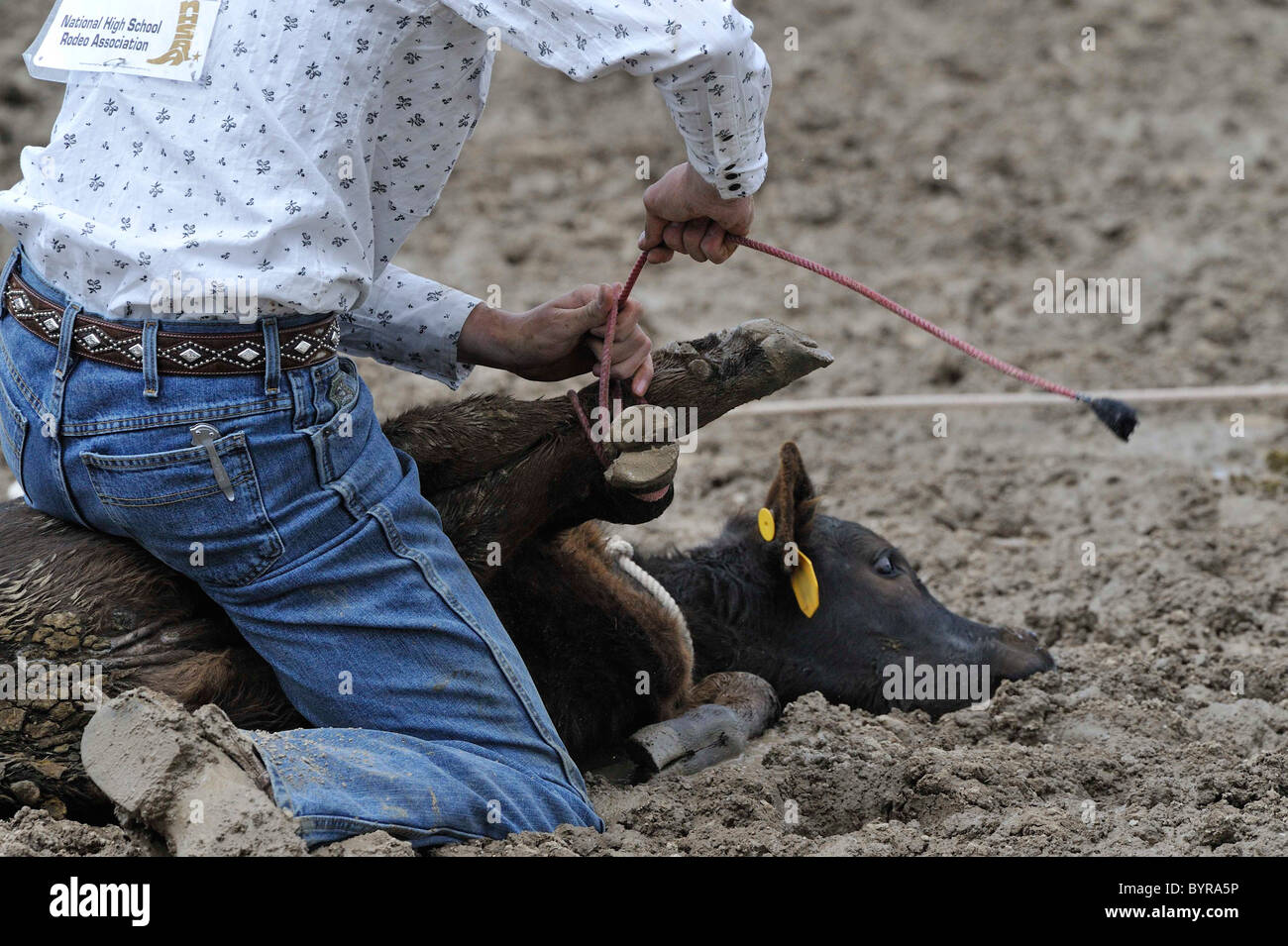 Tie-Down Roping, Calf Roping, Rodeo, Salmon, Idaho Stock Photo - Alamy