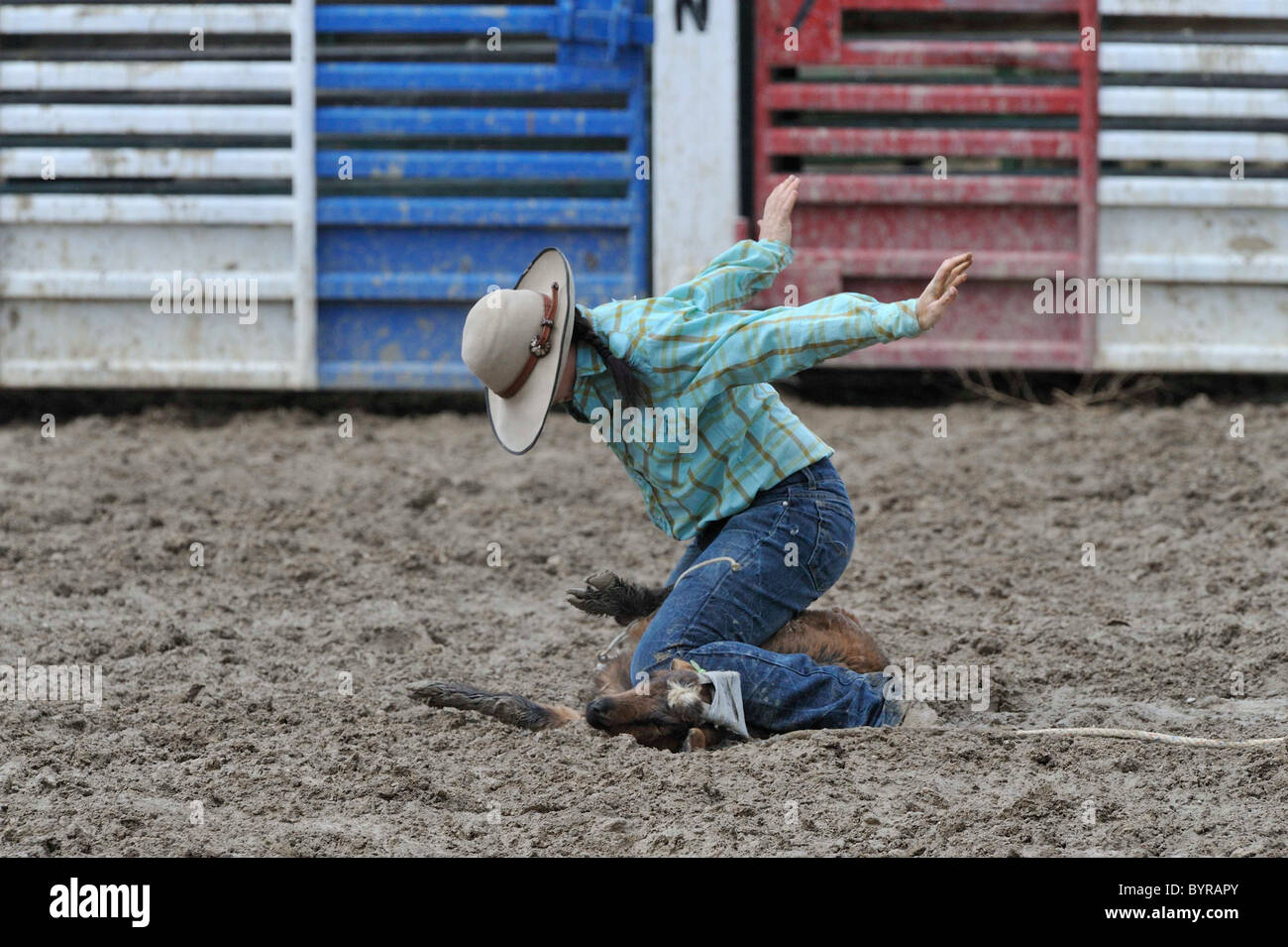Goat rodeo hi-res stock photography and images - Alamy