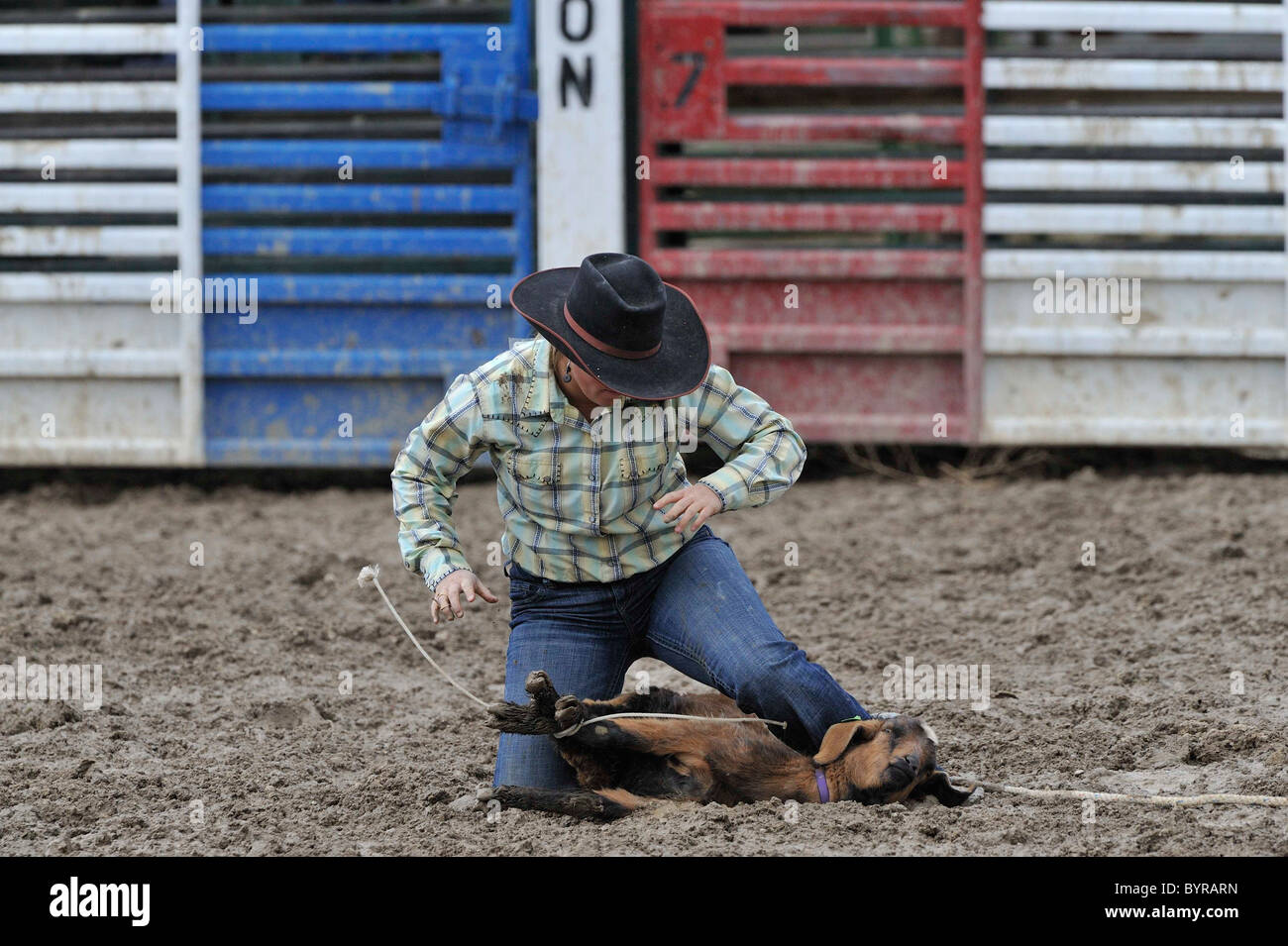 Goat Tying, Rodeo, Salmon, Idaho, Girl, Girls, Teen, Teenager, Cowgirl ...
