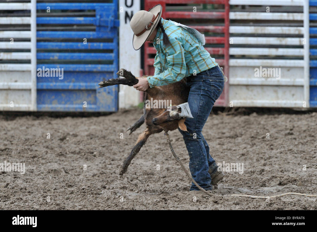 Goat Tying Silhouette