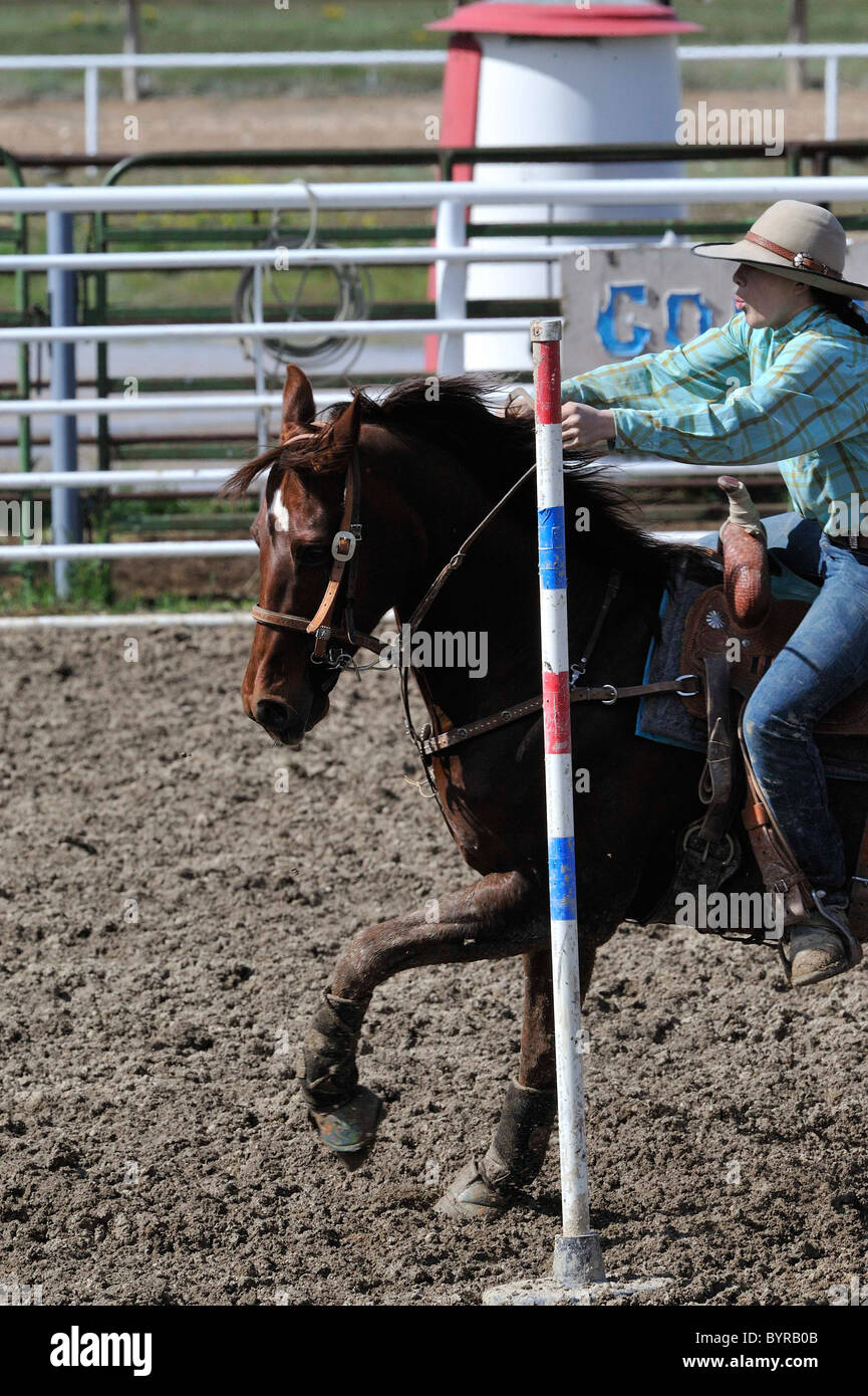 Pole Bending Race High Resolution Stock Photography and Images - Alamy