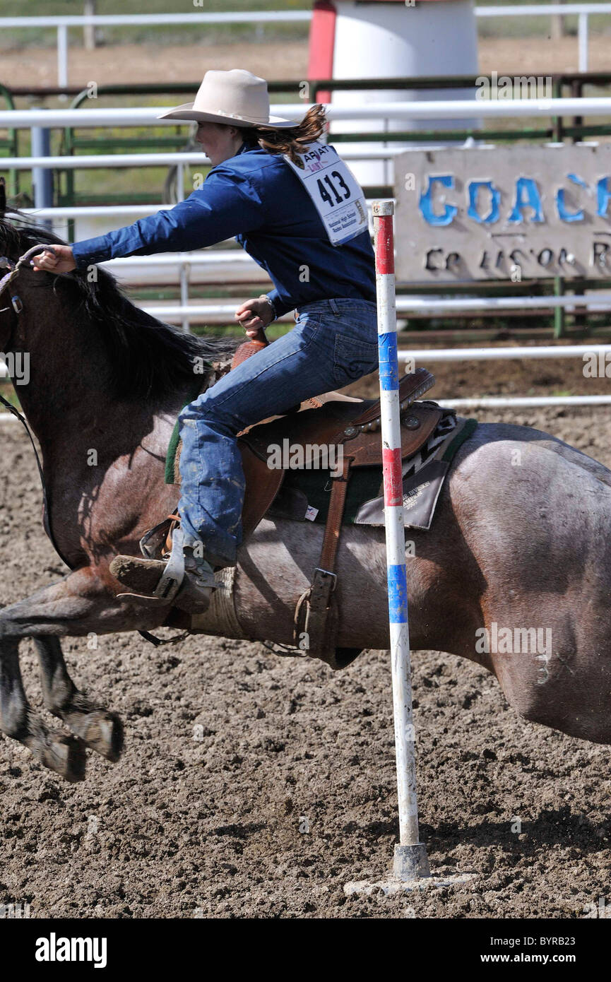 Pole Bending Race High Resolution Stock Photography and Images - Alamy