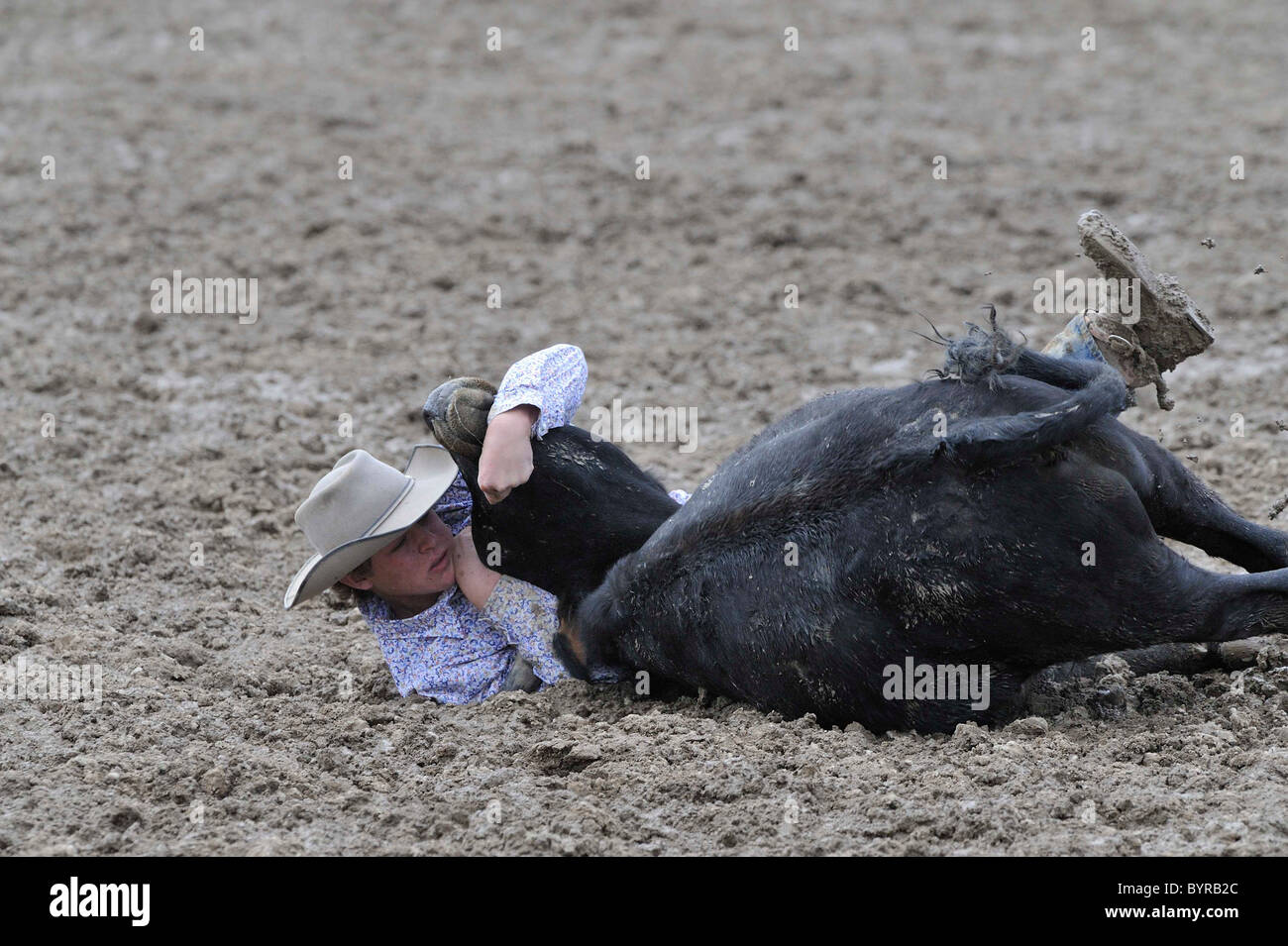 Bulldogging, Steer Wrestling, Teen, Teenager, Horse, Horses, Cowboy ...