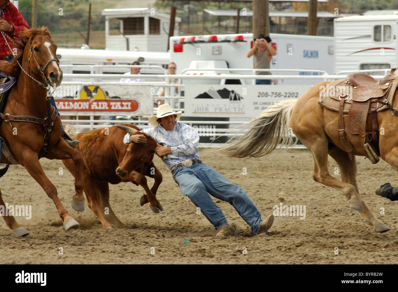 Bulldogging, Steer Wrestling, Teen, Teenager, Horse, Horses, Cowboy ...