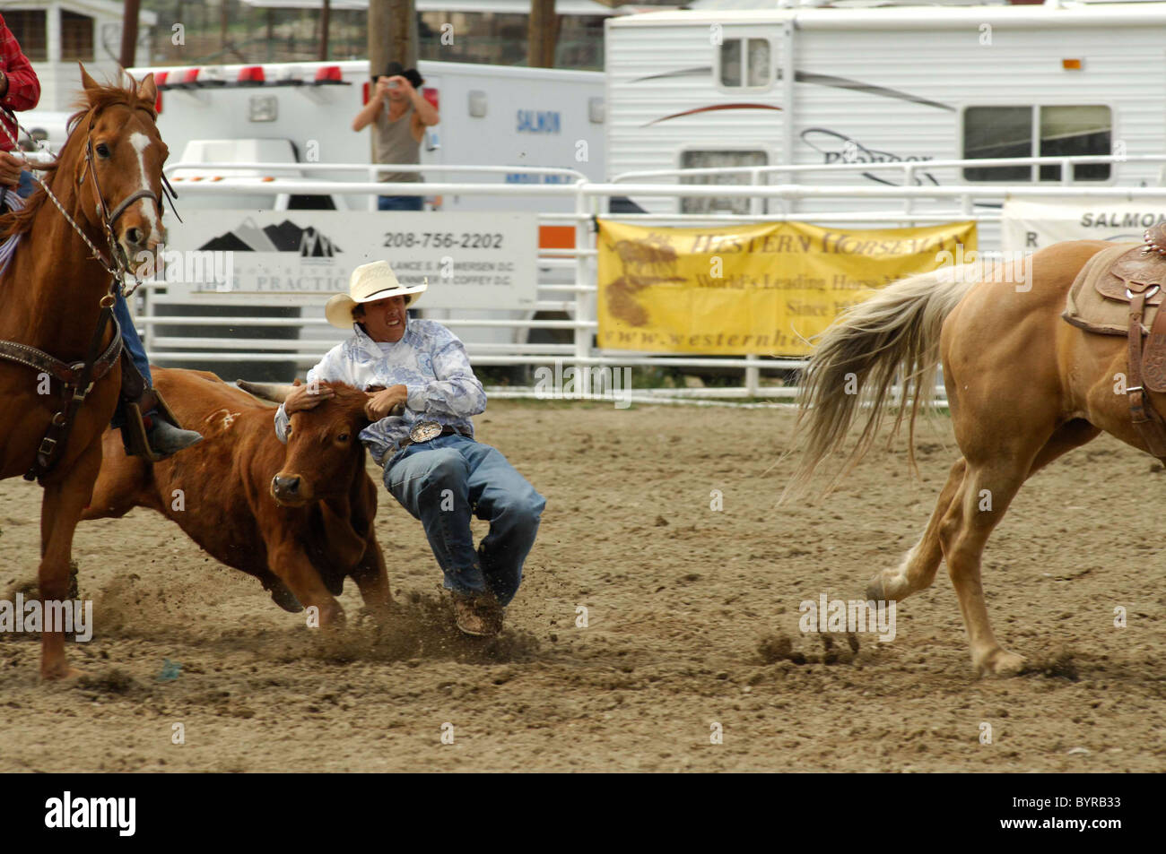 Bulldogging, Steer Wrestling, Teen, Teenager, Horse, Horses, Cowboy ...