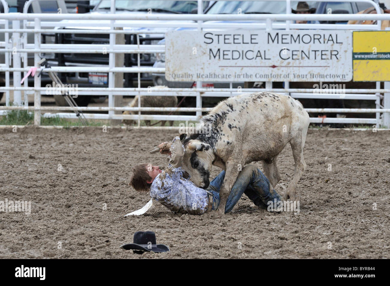 Bulldogging, Steer Wrestling, Teen, Teenager, Horse, Horses, Cowboy ...