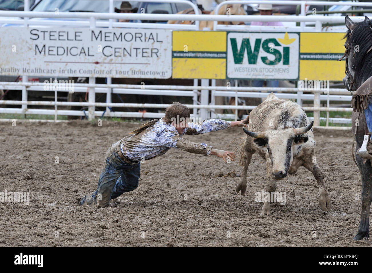 Bulldogging, Steer Wrestling, Teen, Teenager, Horse, Horses, Cowboy ...