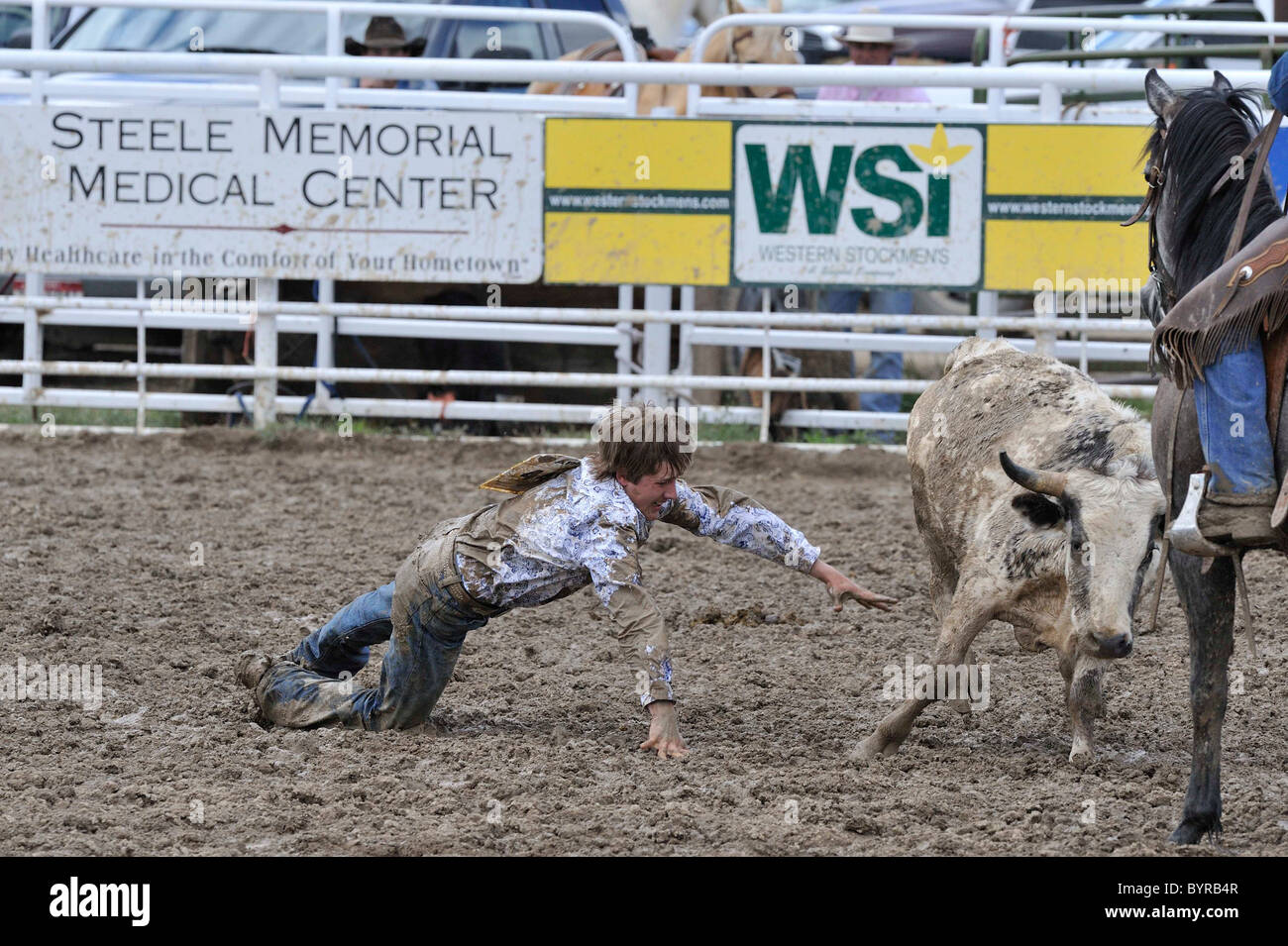 Bulldogging, Steer Wrestling, Teen, Teenager, Horse, Horses, Cowboy ...
