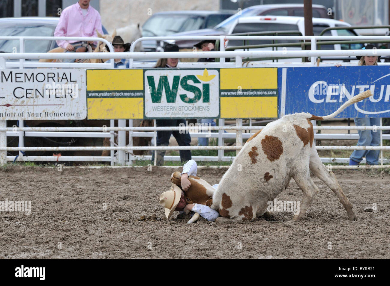 Bulldogging, Steer Wrestling, Teen, Teenager, Horse, Horses, Cowboy ...