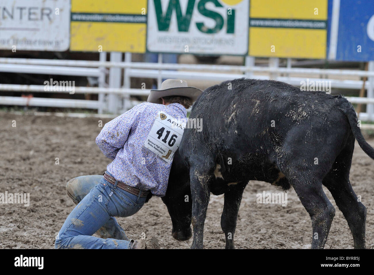 Bulldogging, Steer Wrestling, Teen, Teenager, Horse, Horses, Cowboy ...