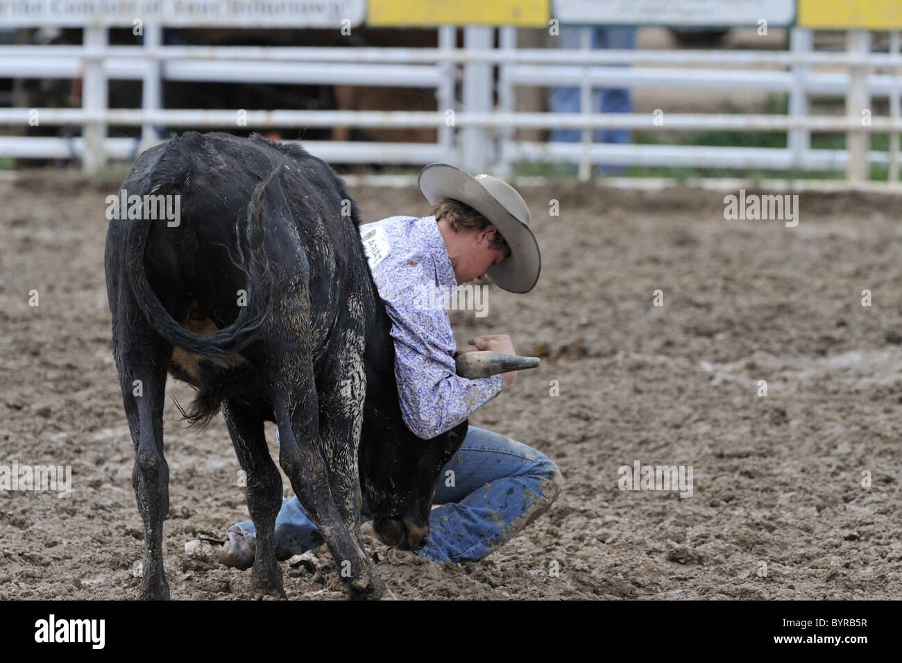 Bulldogging, Steer Wrestling, Teen, Teenager, Horse, Horses, Cowboy ...