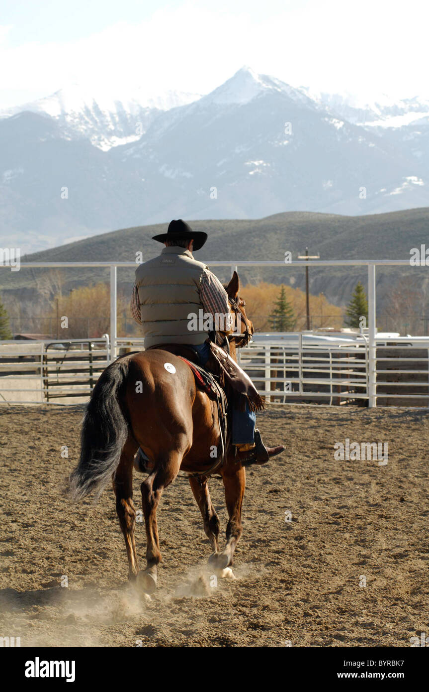 Salmon Select Horse Sale, Roping, Team Roping, Tie-Down Roping, Calf ...