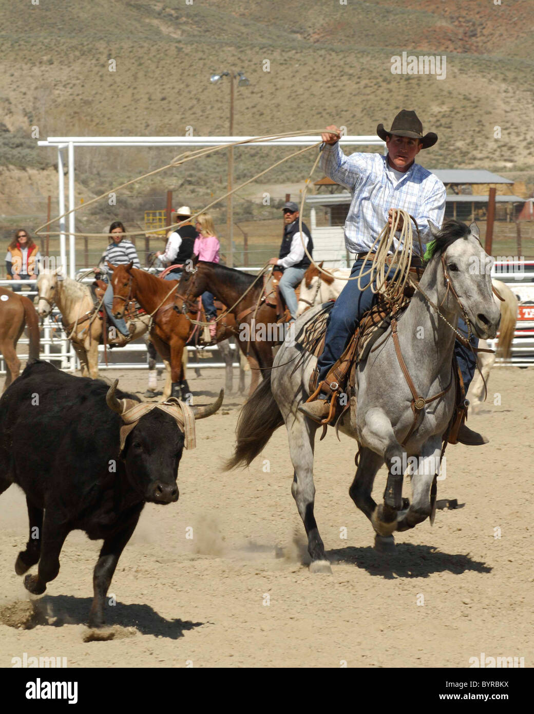 Salmon Select Horse Sale, Roping, Team Roping, Tie-Down Roping, Calf ...