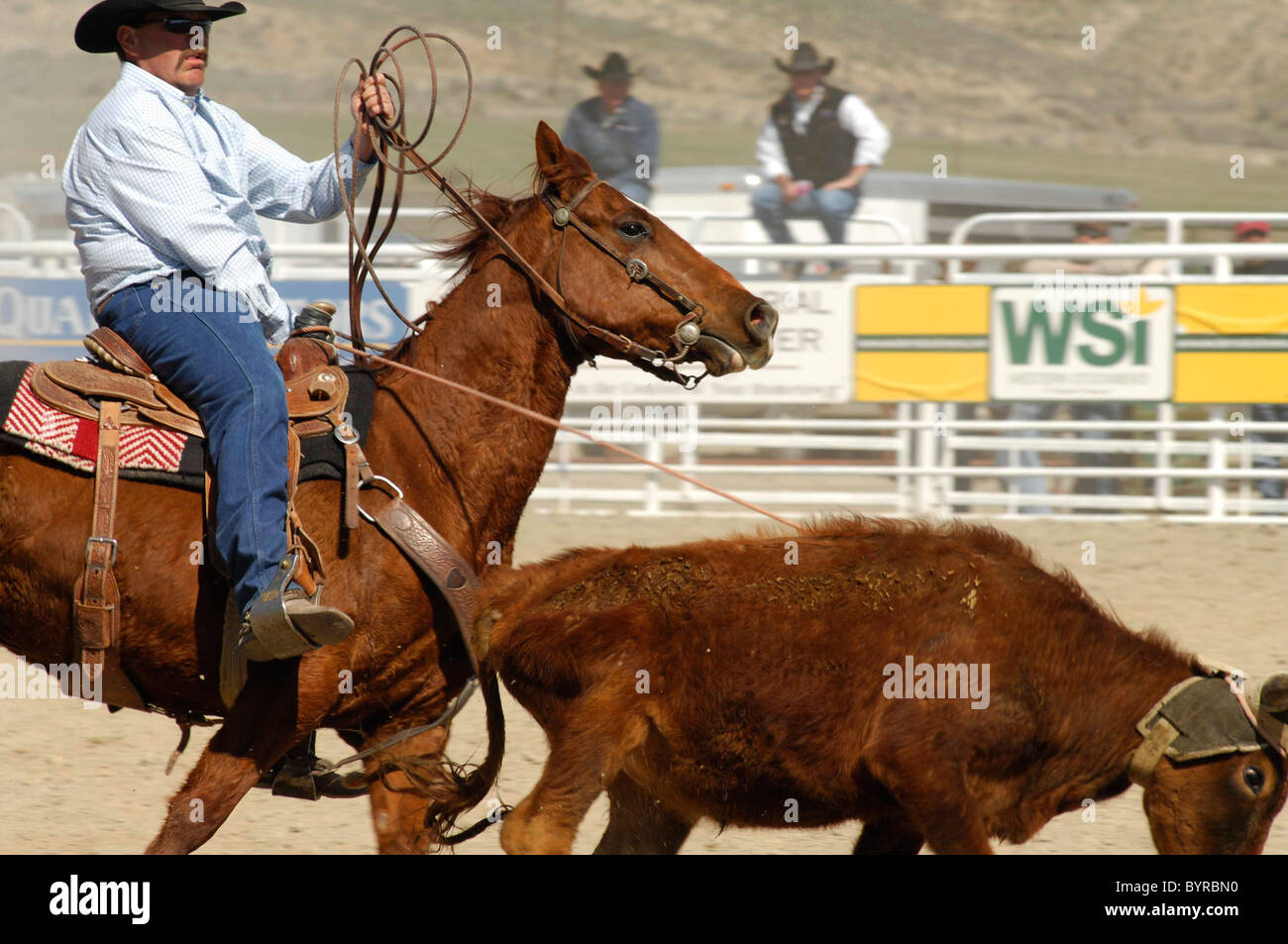 Salmon Select Horse Sale, Roping, Team Roping, Tie-Down Roping, Calf ...