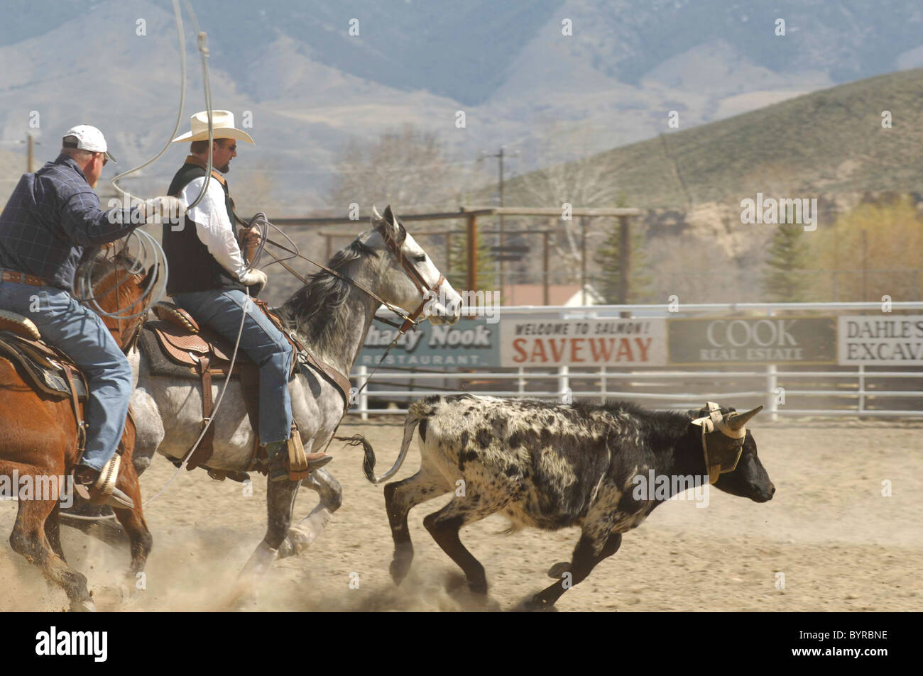 Salmon Select Horse Sale, Roping, Team Roping, Tie-Down Roping, Calf ...