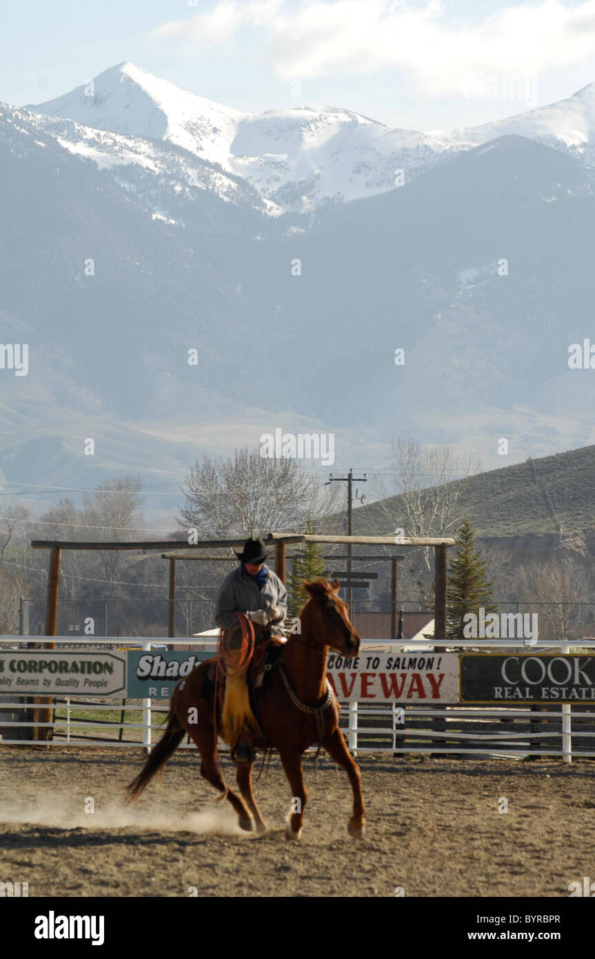 Salmon select horse sale roping hi-res stock photography and images - Alamy