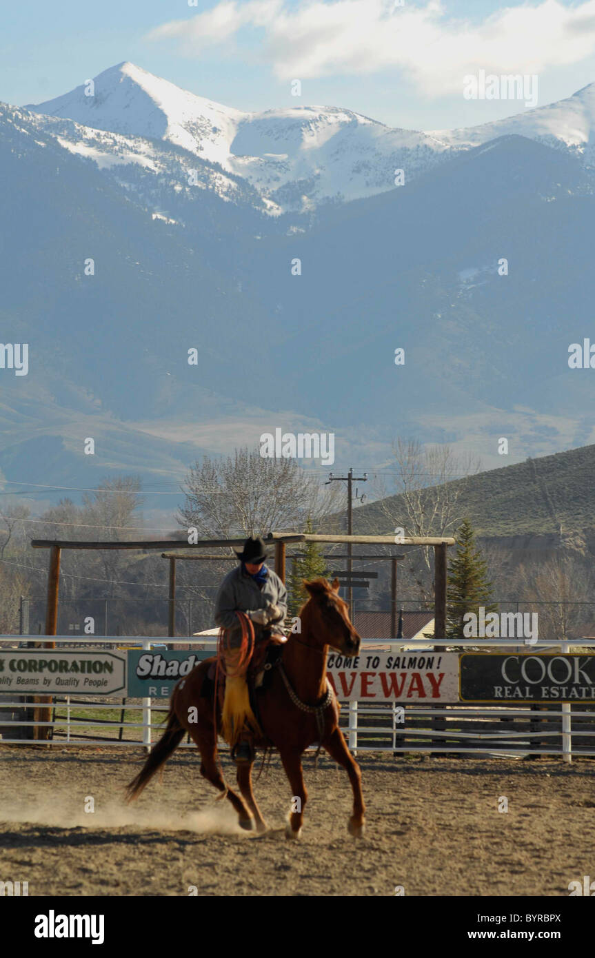 Salmon Select Horse Sale, Roping, Team Roping, Tie-Down Roping, Calf ...