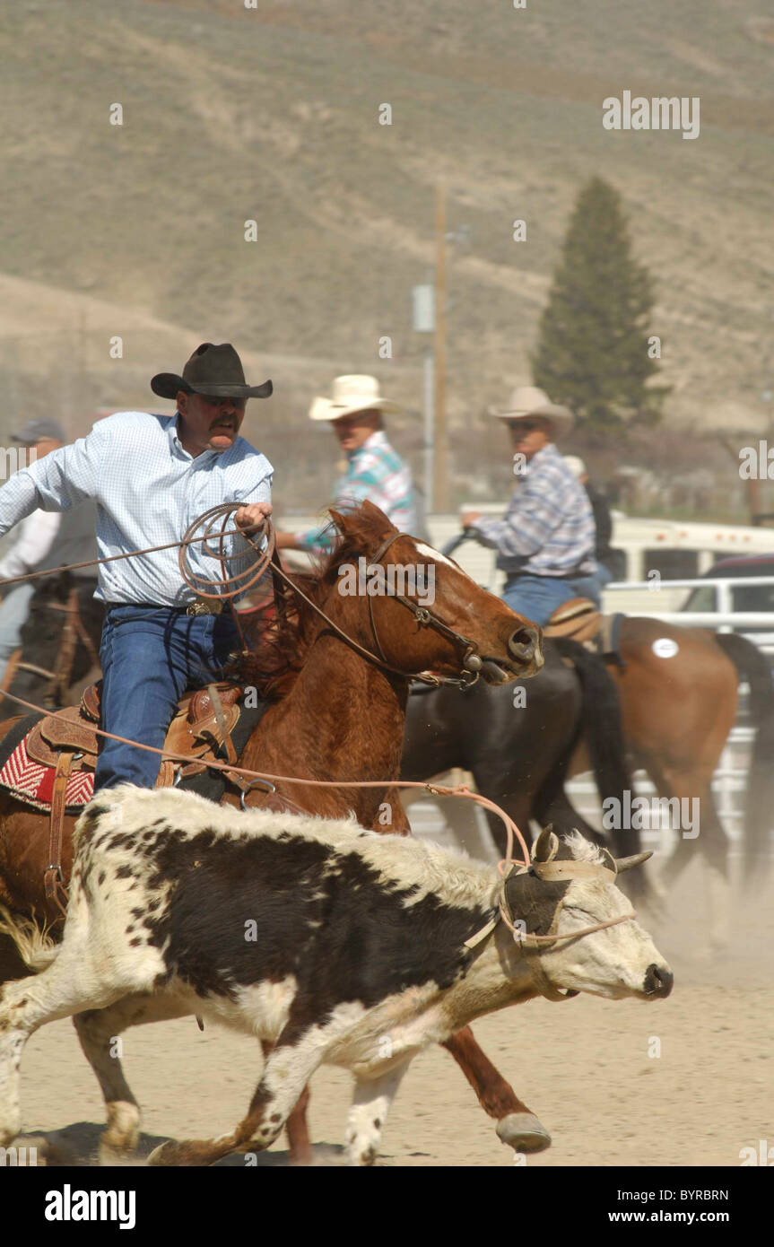 Salmon Select Horse Sale, Roping, Team Roping, Tie-Down Roping, Calf ...
