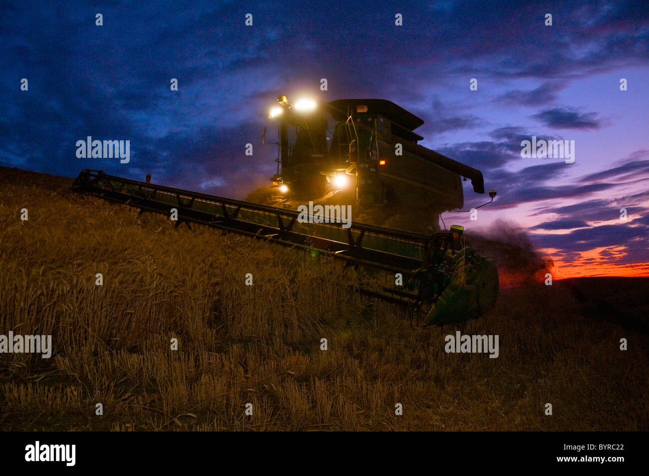 Agriculture - A John Deere combine harvests wheat at dusk in the ...