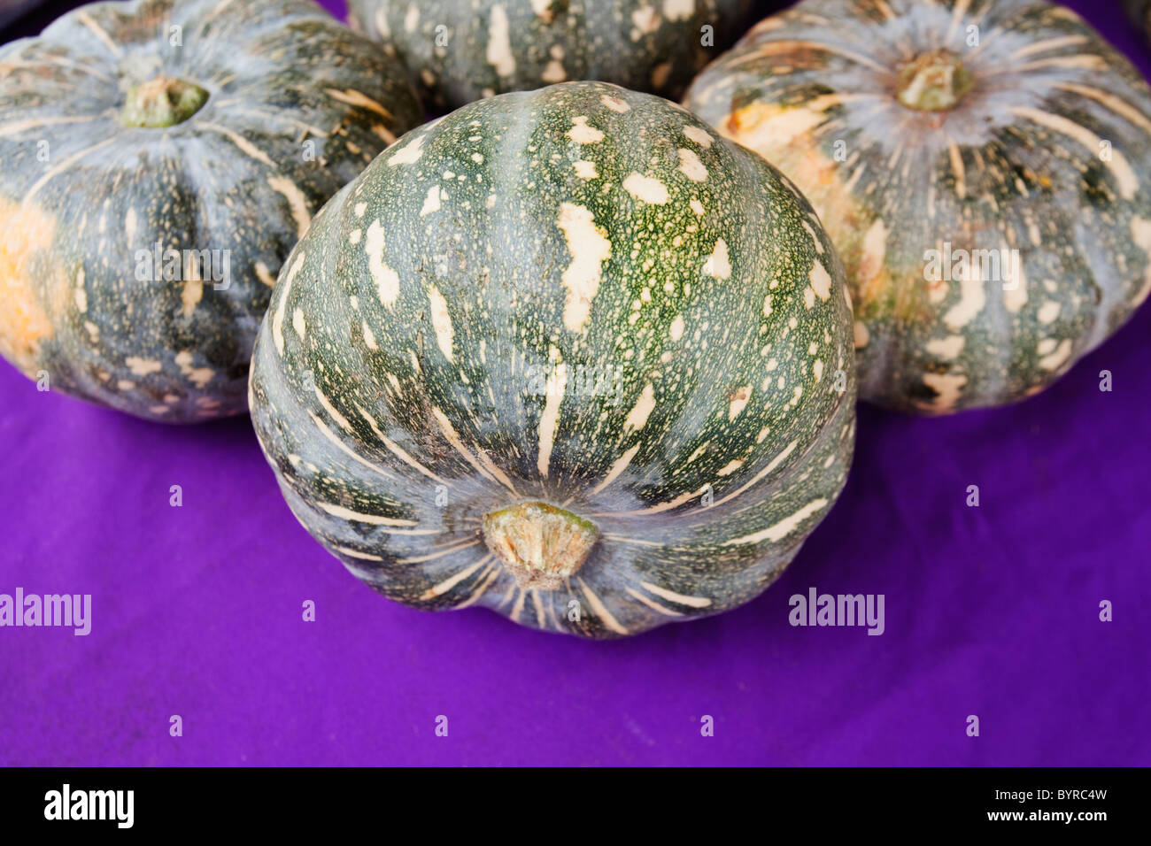 Purple surface hi-res stock photography and images - Alamy