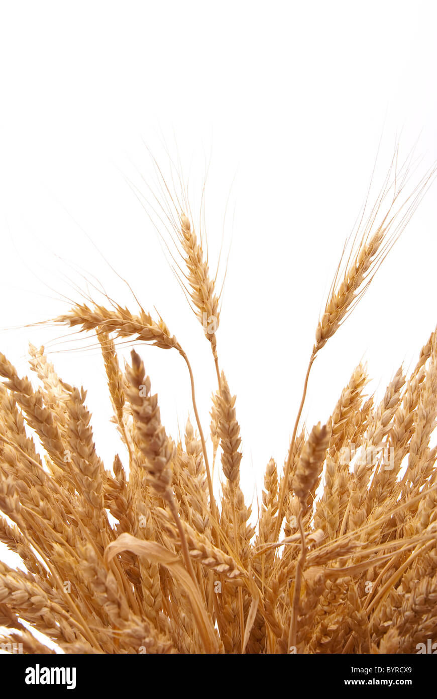 Agricultural cro hi-res stock photography and images - Alamy