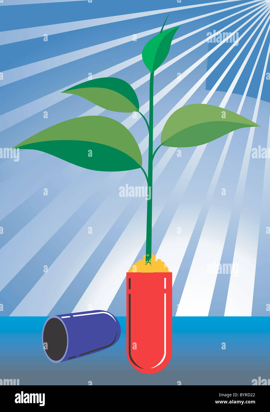 plant growing from a capsule Stock Photo - Alamy