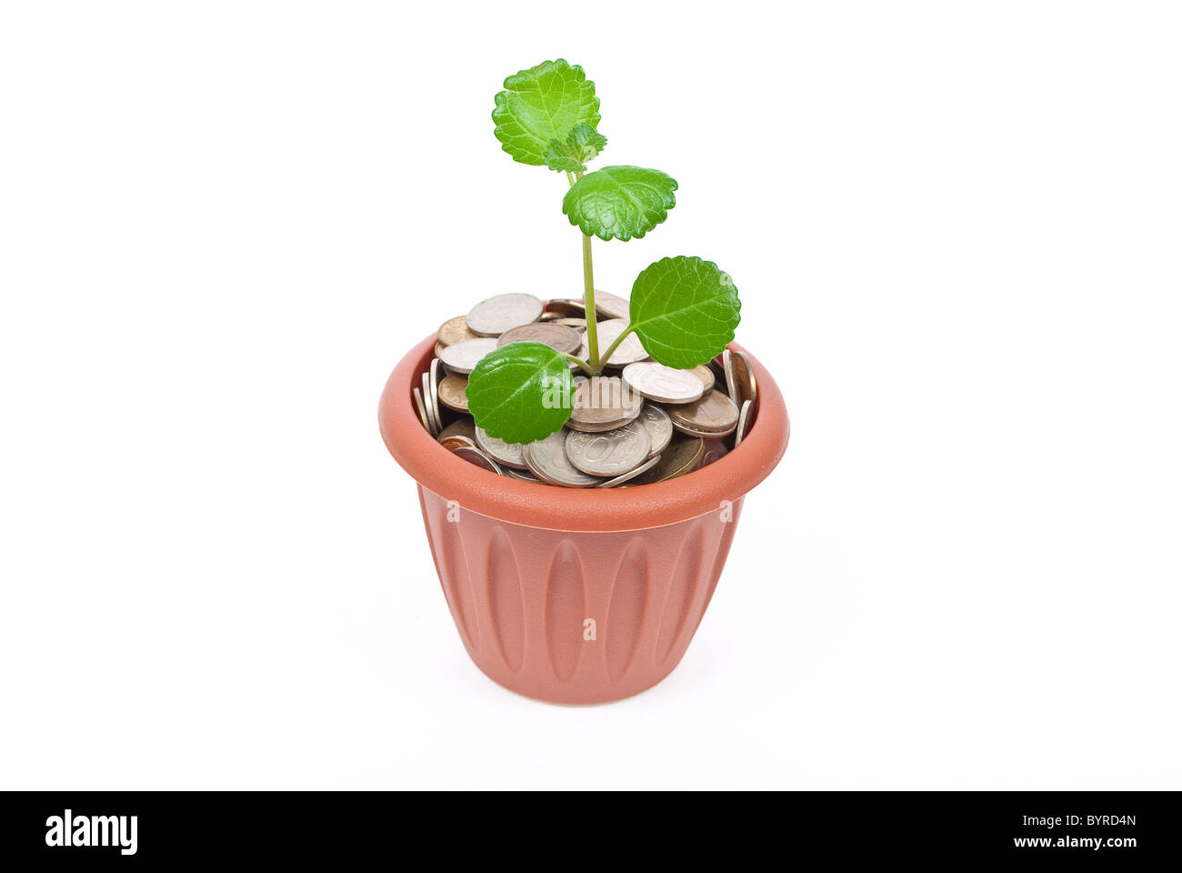 Develop development Cut Out Stock Images & Pictures - Alamy