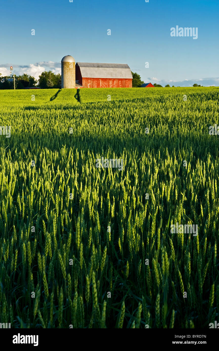 Canada ontario farm farms barns hi-res stock photography and images - Alamy