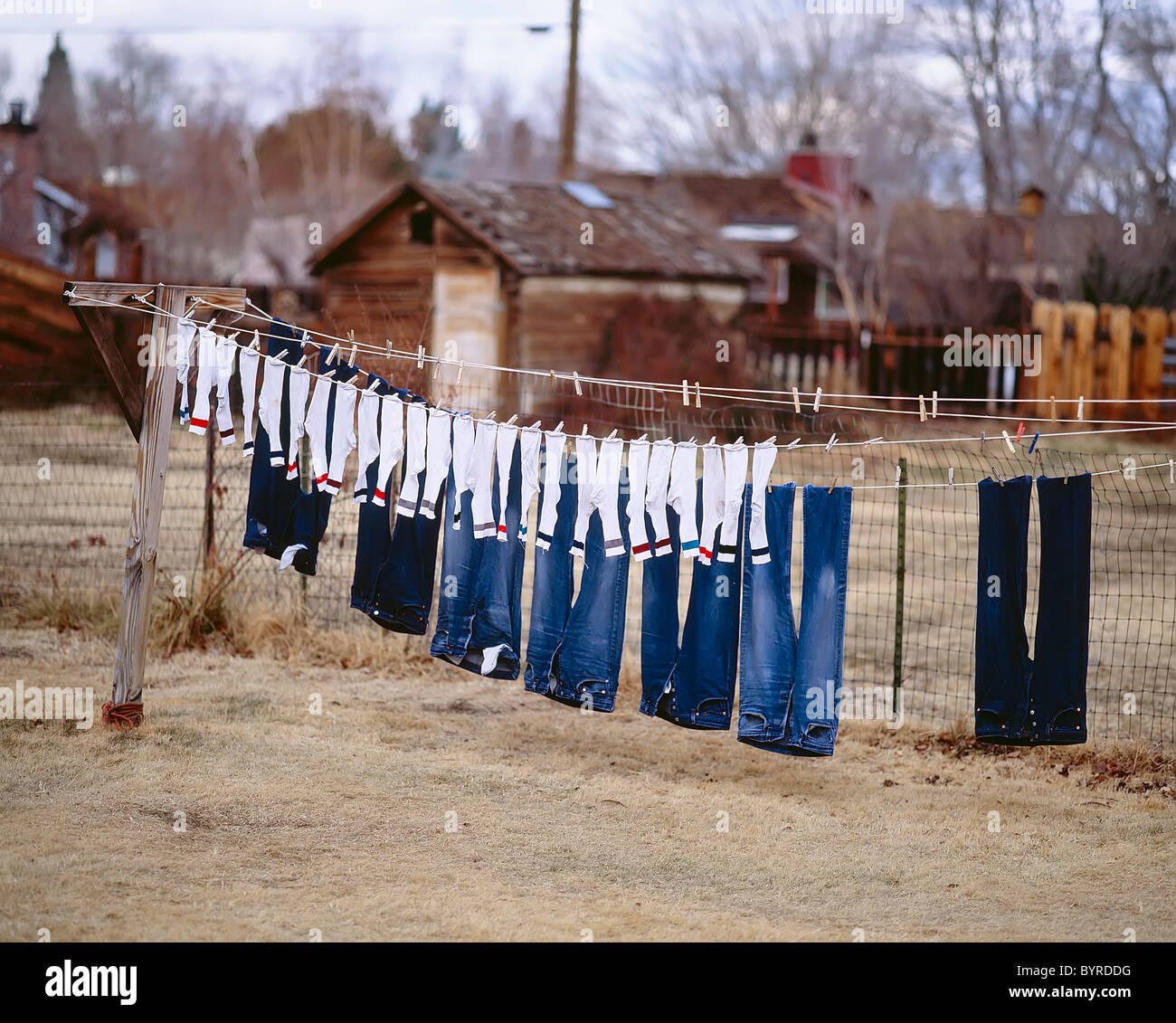 Freshly washed socks and pants hanging out to dry on a clothesline ...