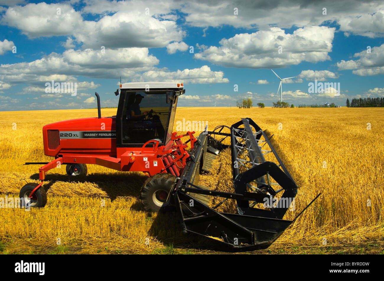 Wheat swathing hi-res stock photography and images - Alamy