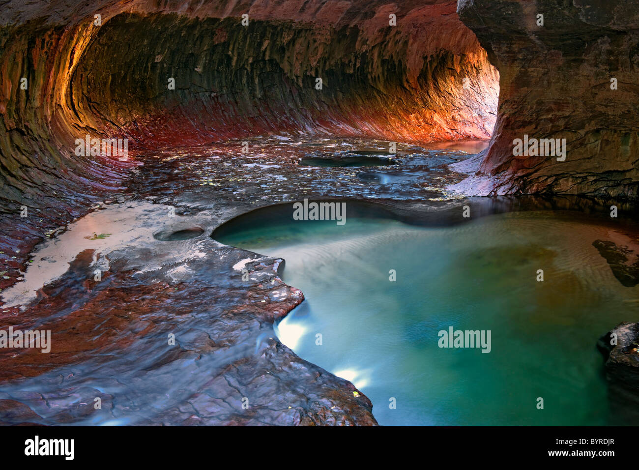 The Left Fork of North Creek runs through the mystical Subway tunnel in ...