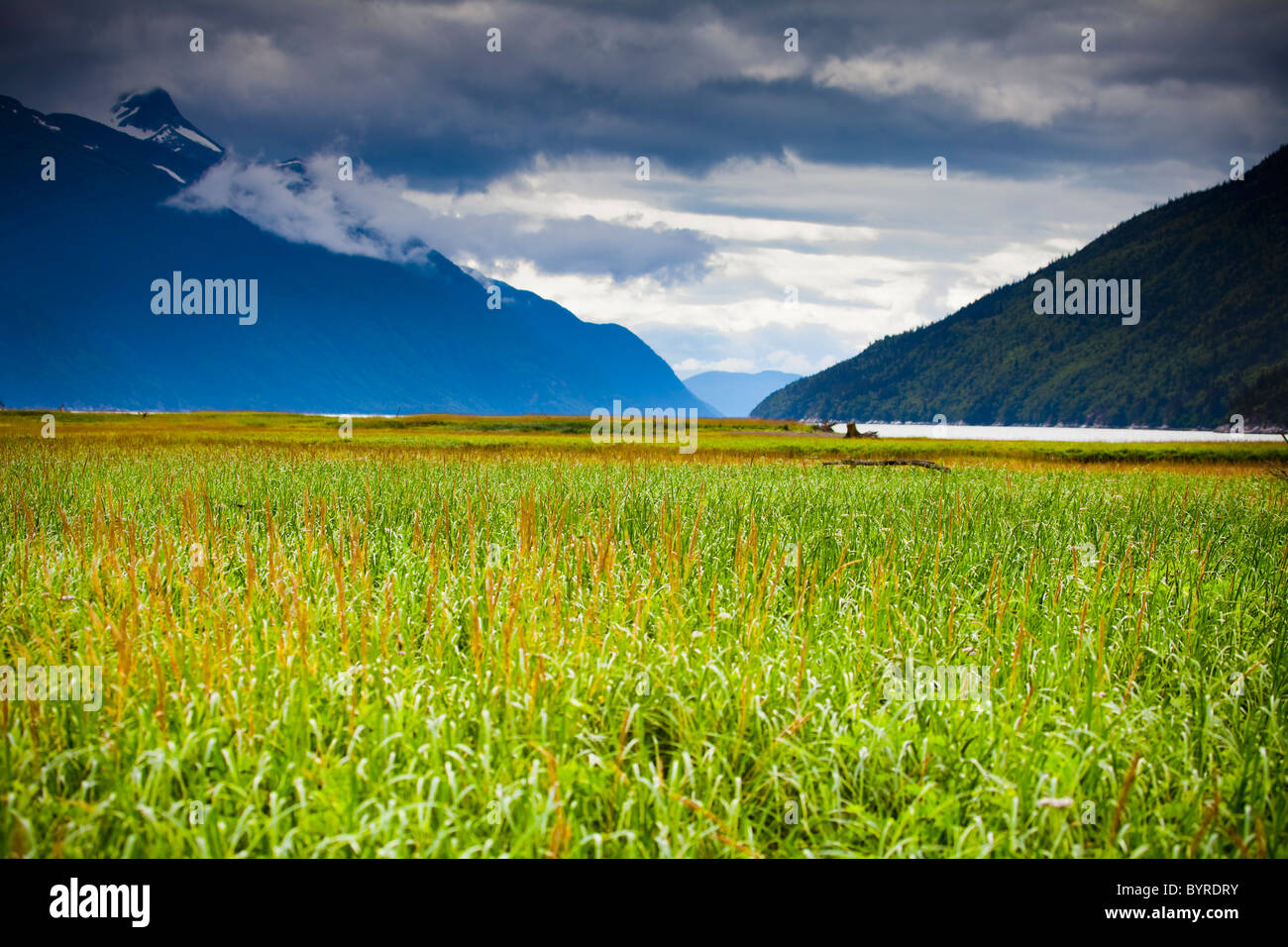 Chilkoot river inlet hi-res stock photography and images - Alamy
