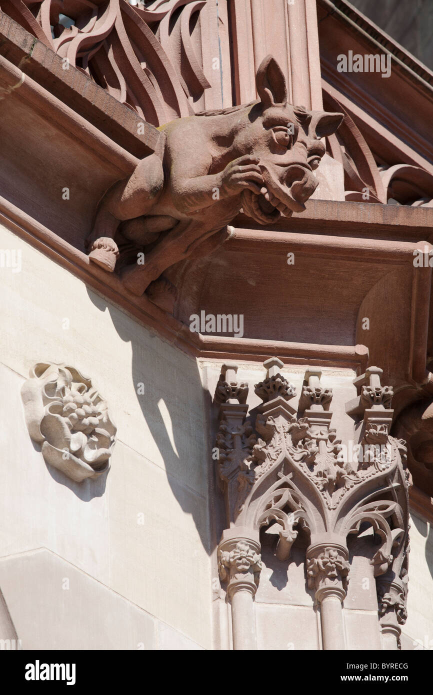 detail of sandstone animal gargoyle in the corner of a cathedral Stock ...