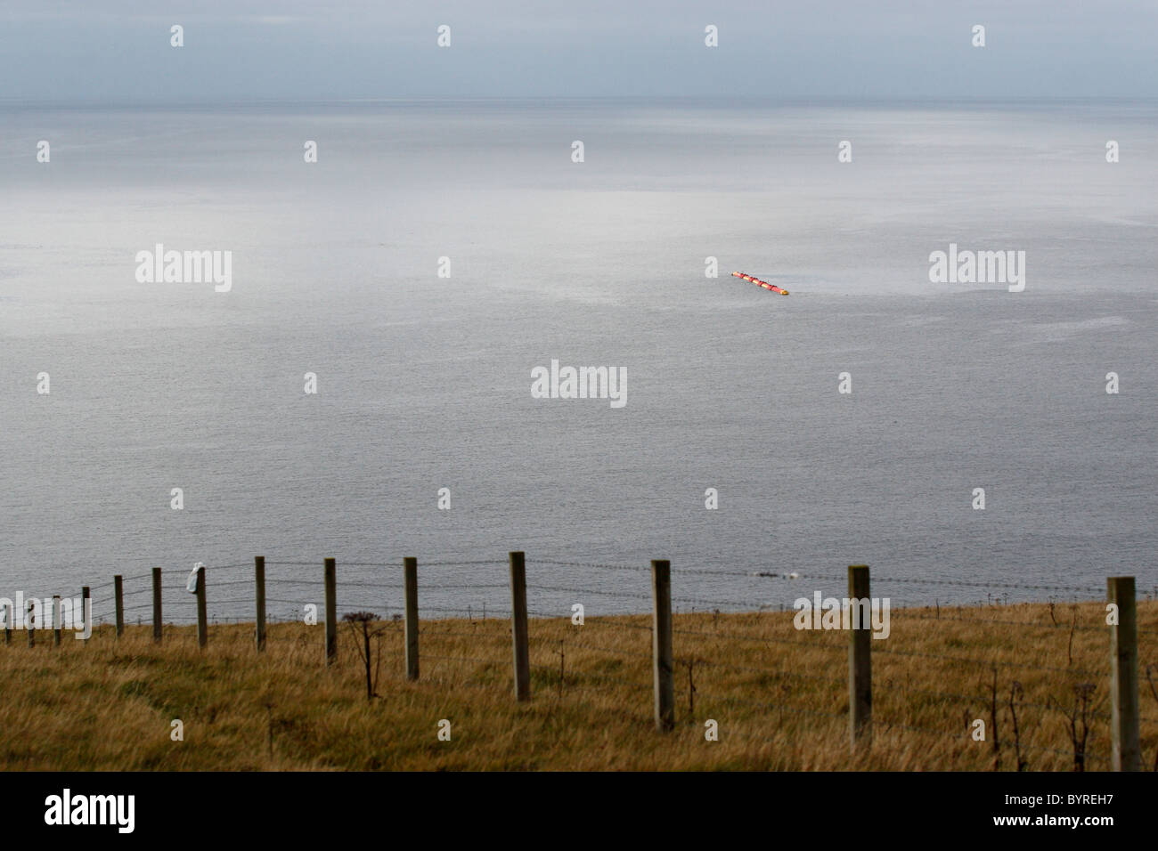Pelamis wave machine hi-res stock photography and images - Alamy
