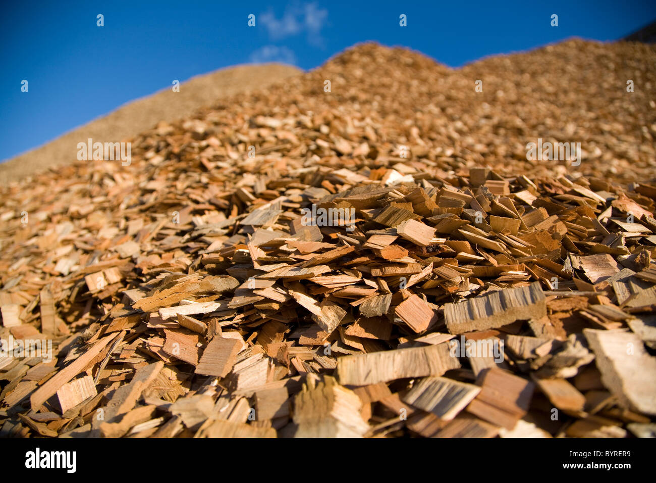 Eucalyptus pulp hi-res stock photography and images - Alamy