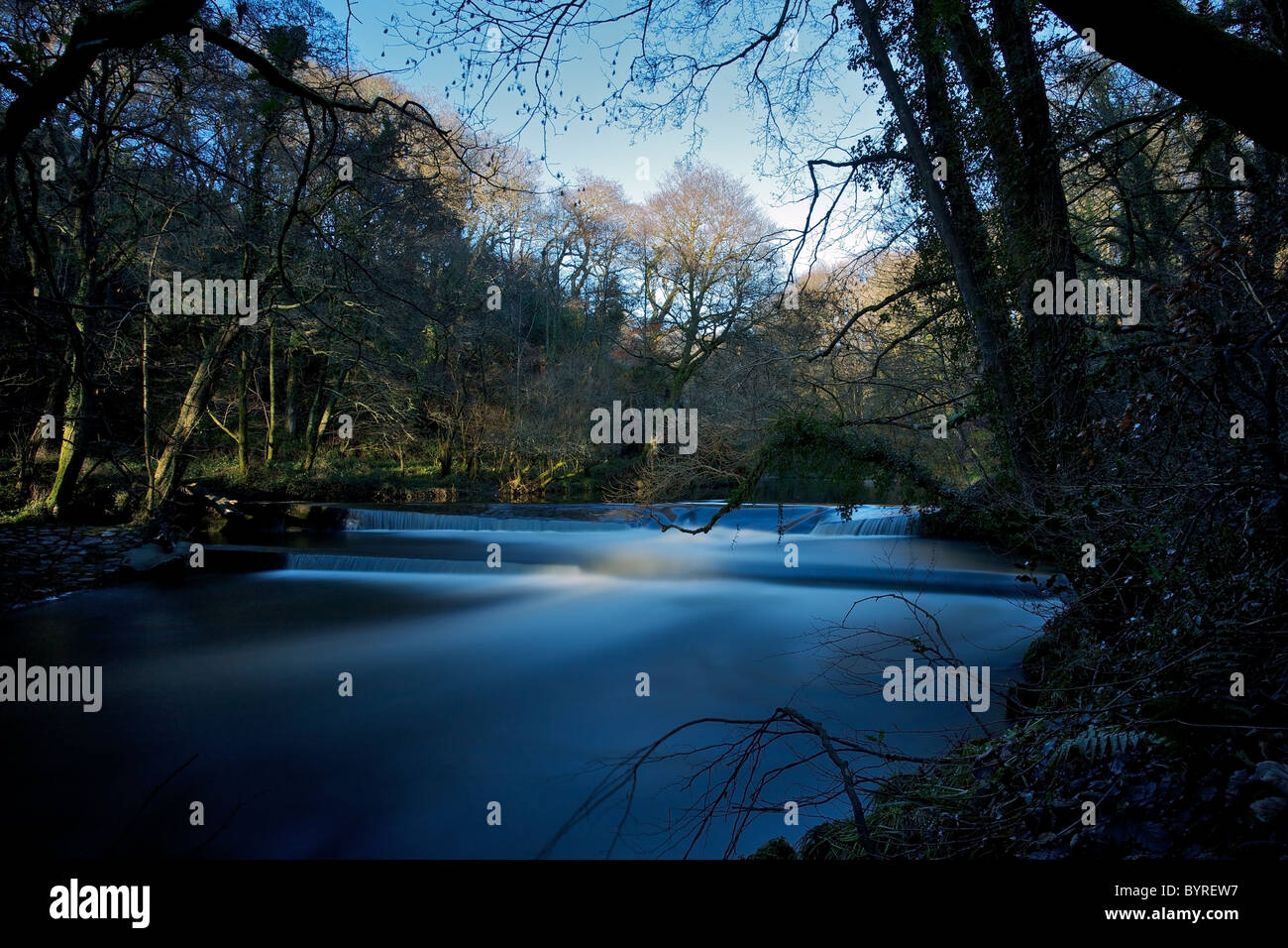 Dunmere woods hi-res stock photography and images - Alamy