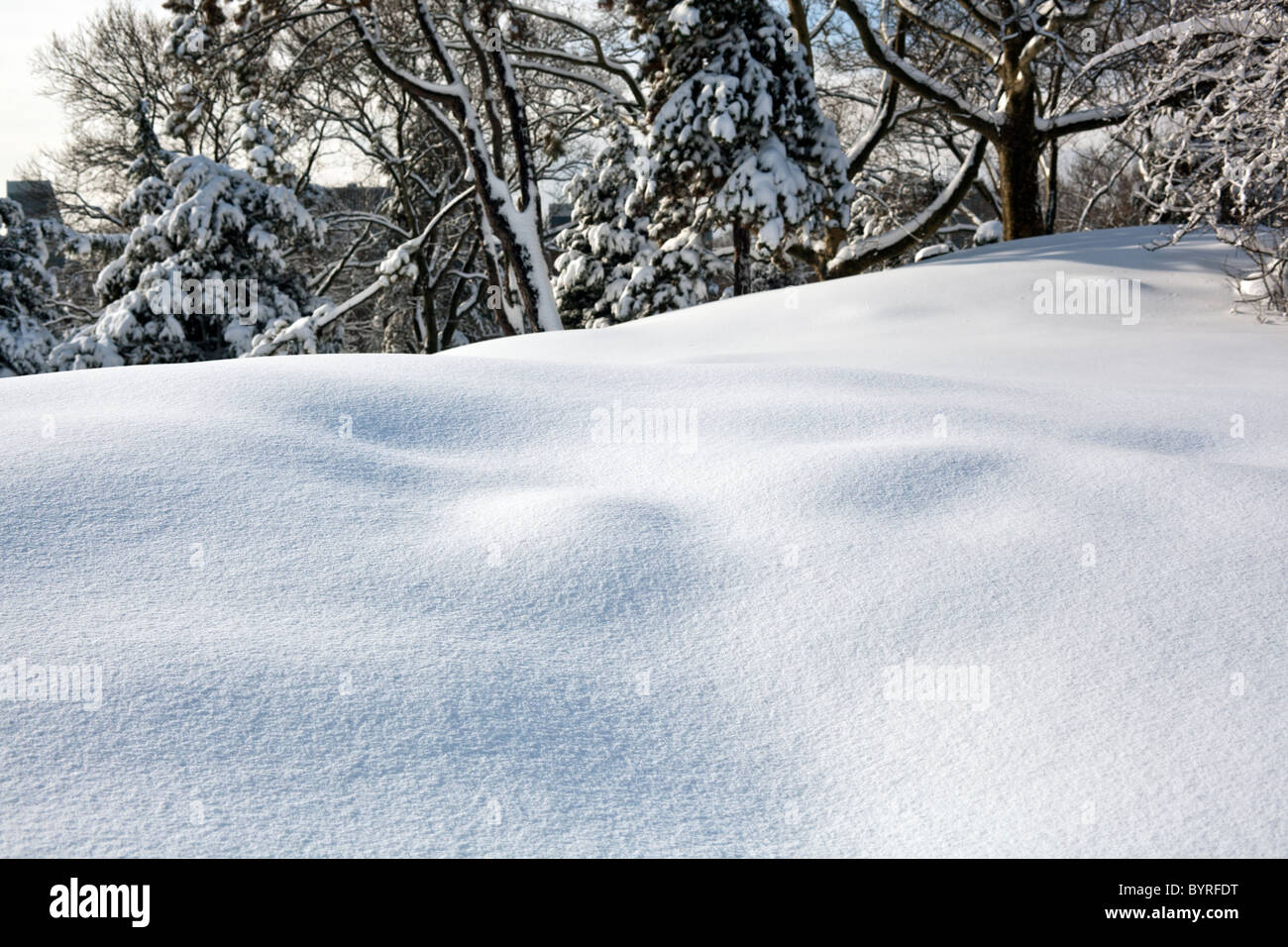 Cedar Hill in Central Park after snow storm Stock Photo - Alamy