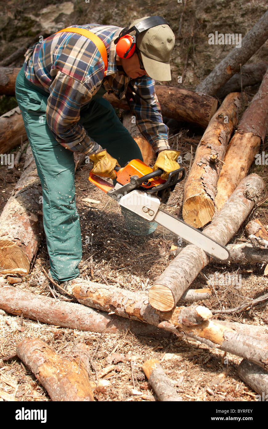 Lumberjack operating a chainsaw in full protective gear Stock Photo - Alamy
