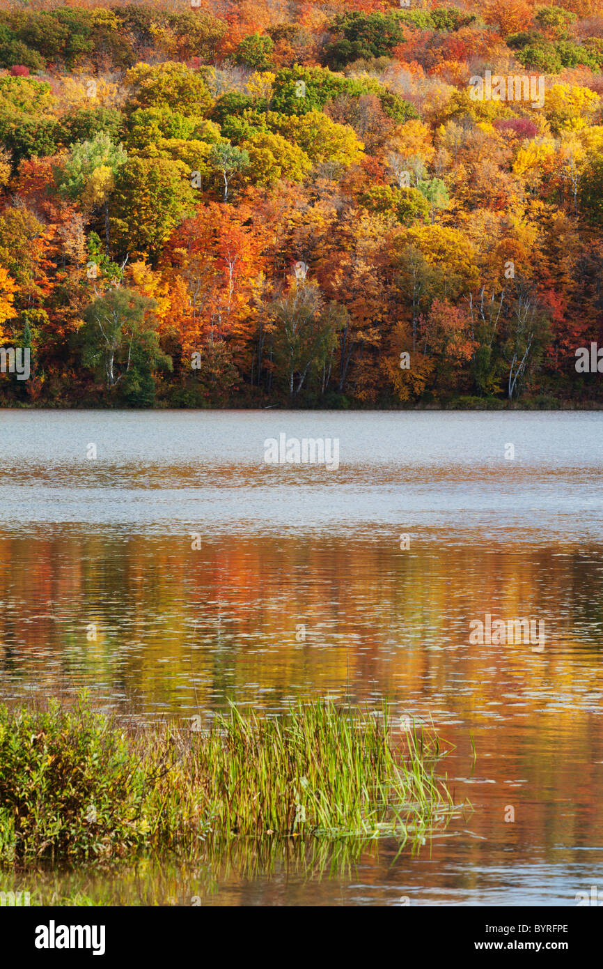 reflection of autumn colors in a lake; ontario, canada Stock Photo - Alamy