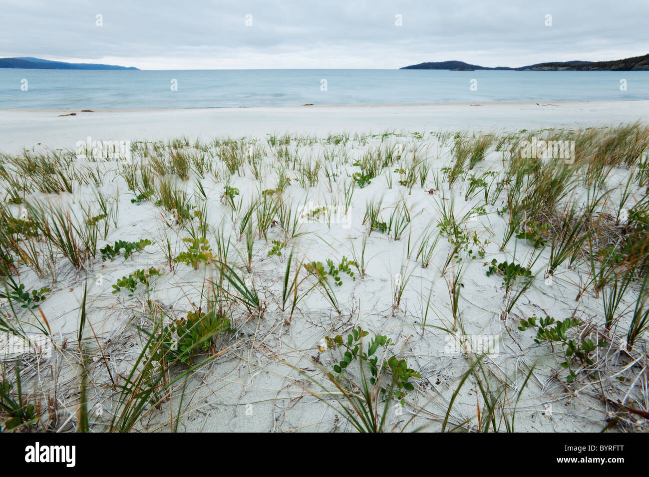 sandy beach with grass along lake superior; wawa, ontario, canada Stock ...