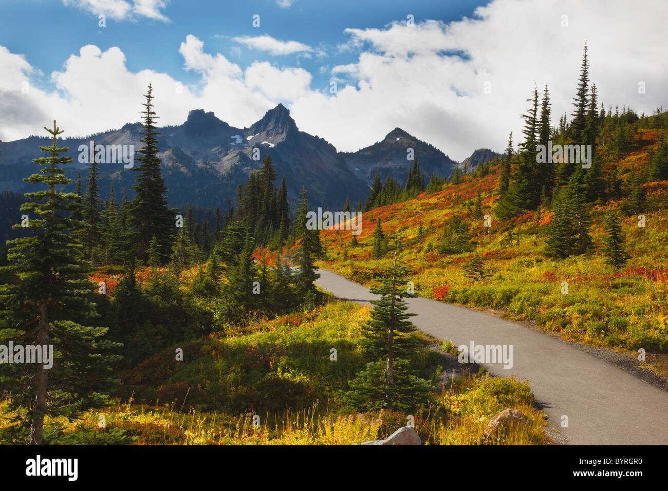 autumn colors and a trail in the tatoosh mountains in mt. rainier ...