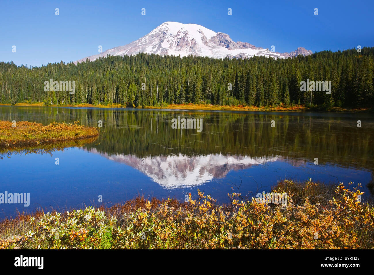 mount rainier reflected in reflection lake in mt. rainier national park ...