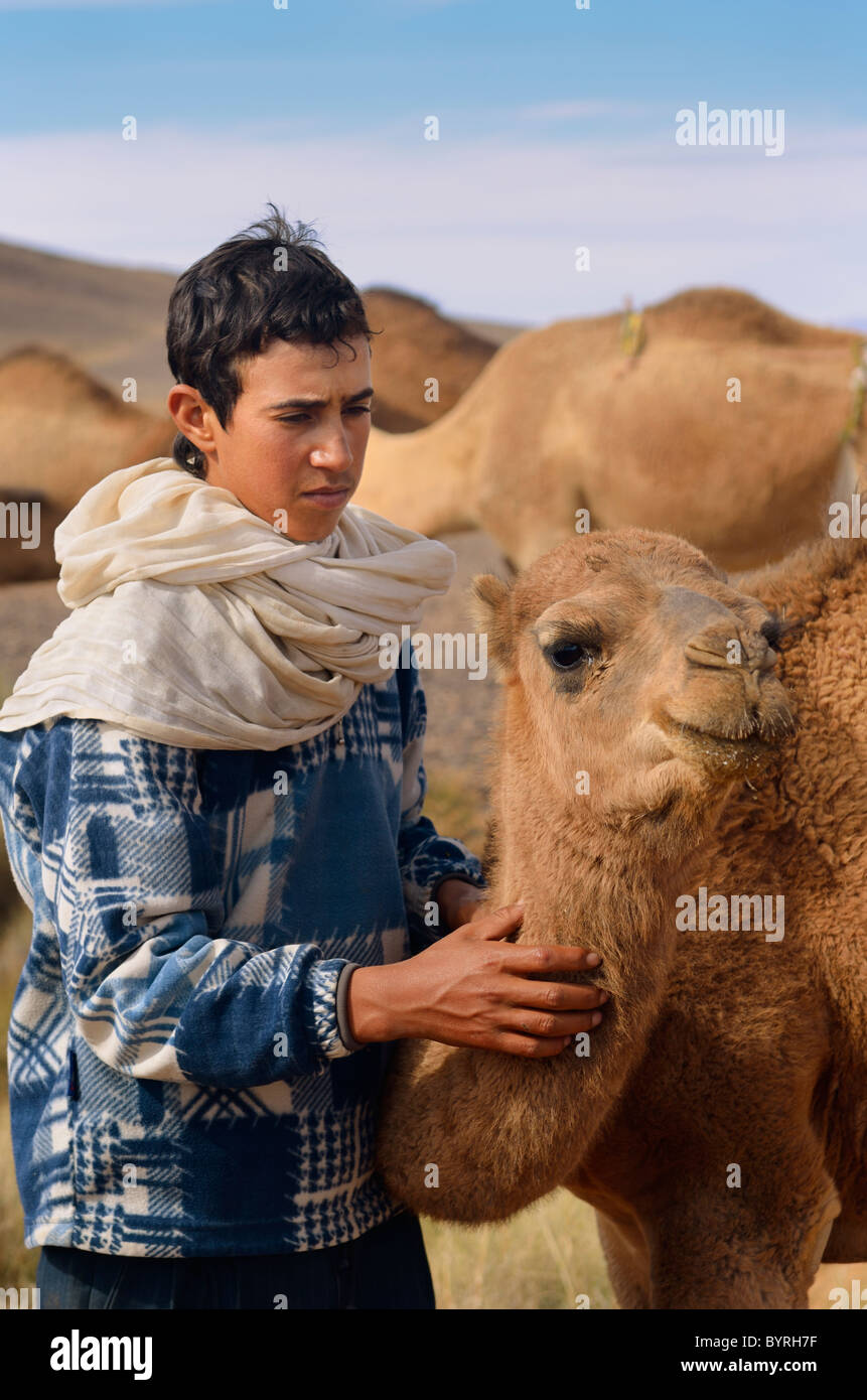 Camel son hi-res stock photography and images - Alamy